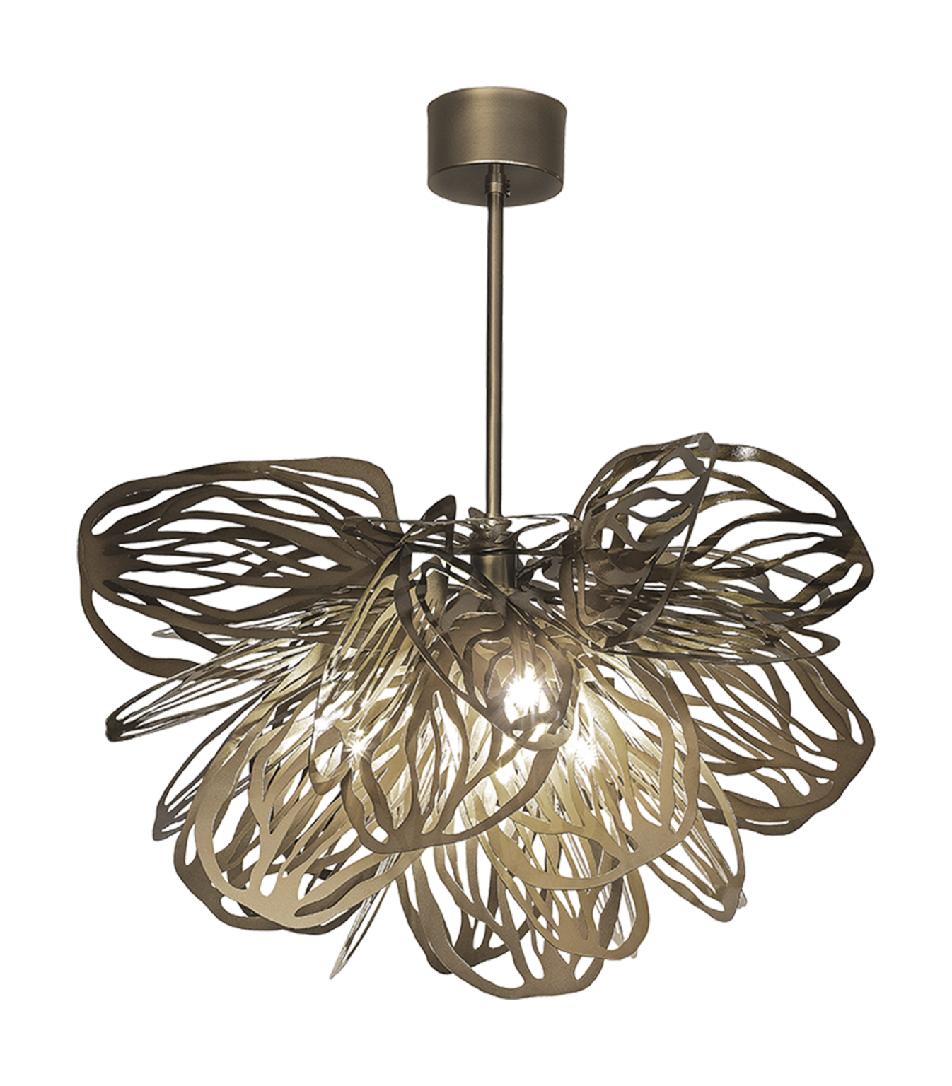 WING – Deniz Tunc Design